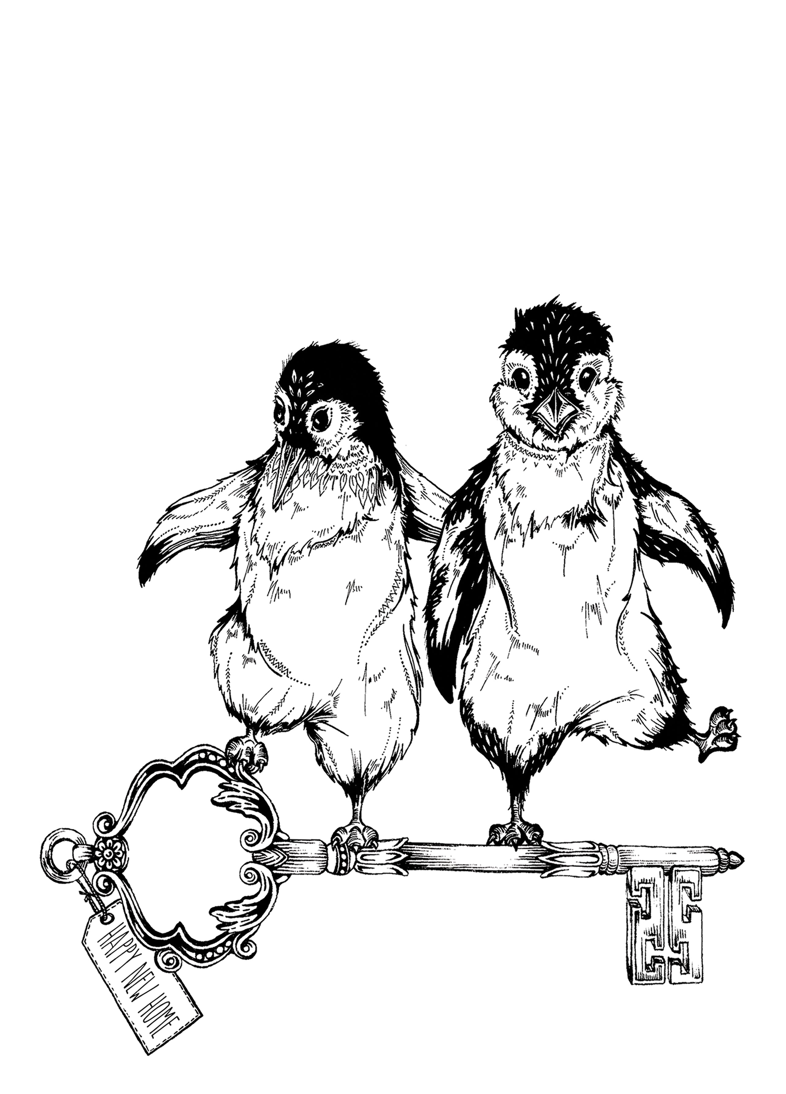 Penguin New Home Card – Scribbler Cards & Gifts