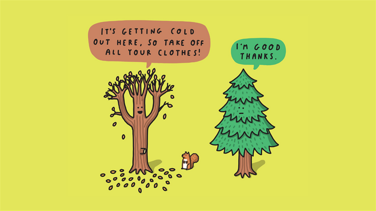 Christmas Tree Statistics UK 2022 - When Do We Put Them Up? – Scribbler ...