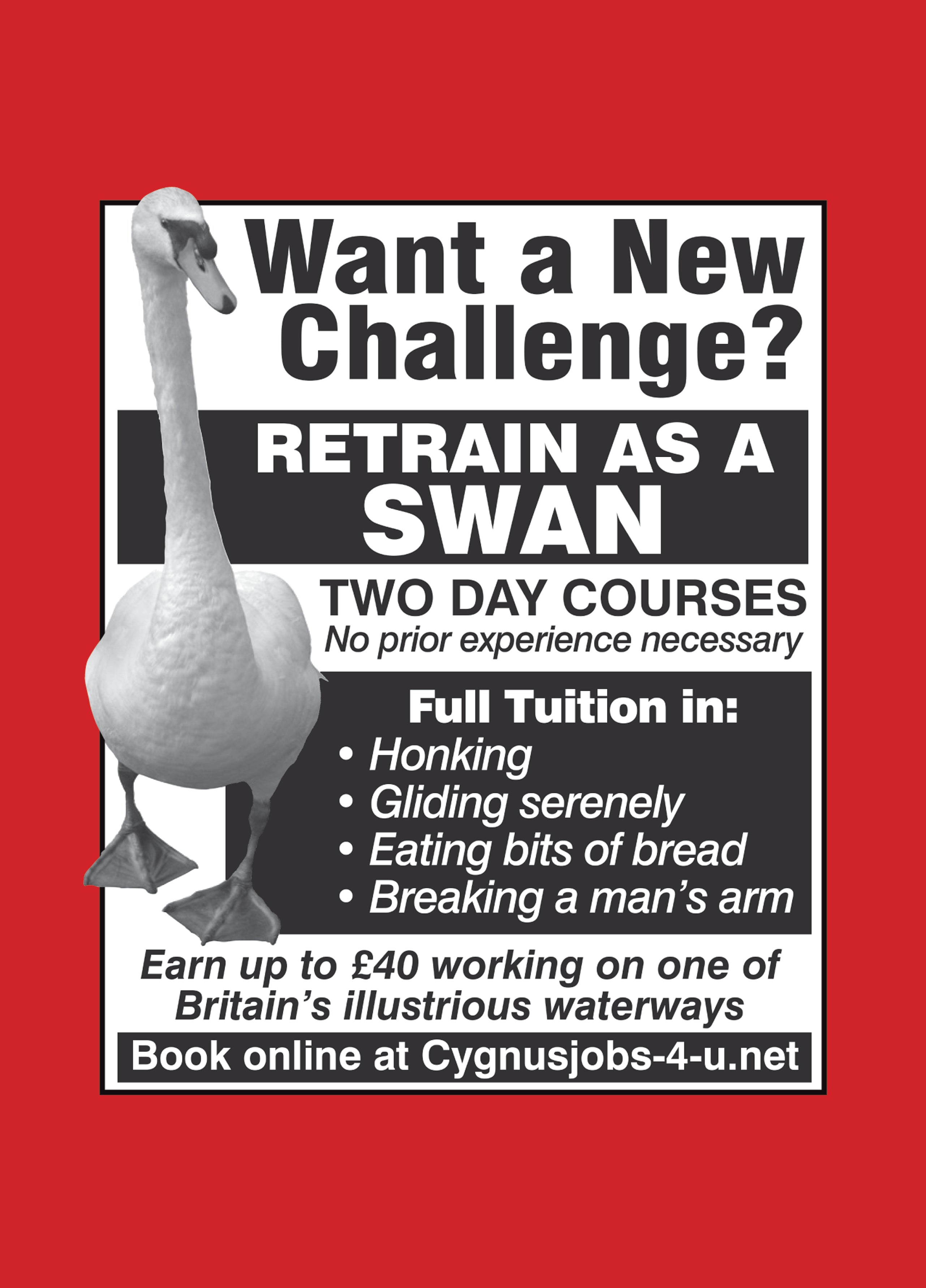 Swans Memes Swan Chain (formerly FilSwan) On X: "Get Ready For Swan