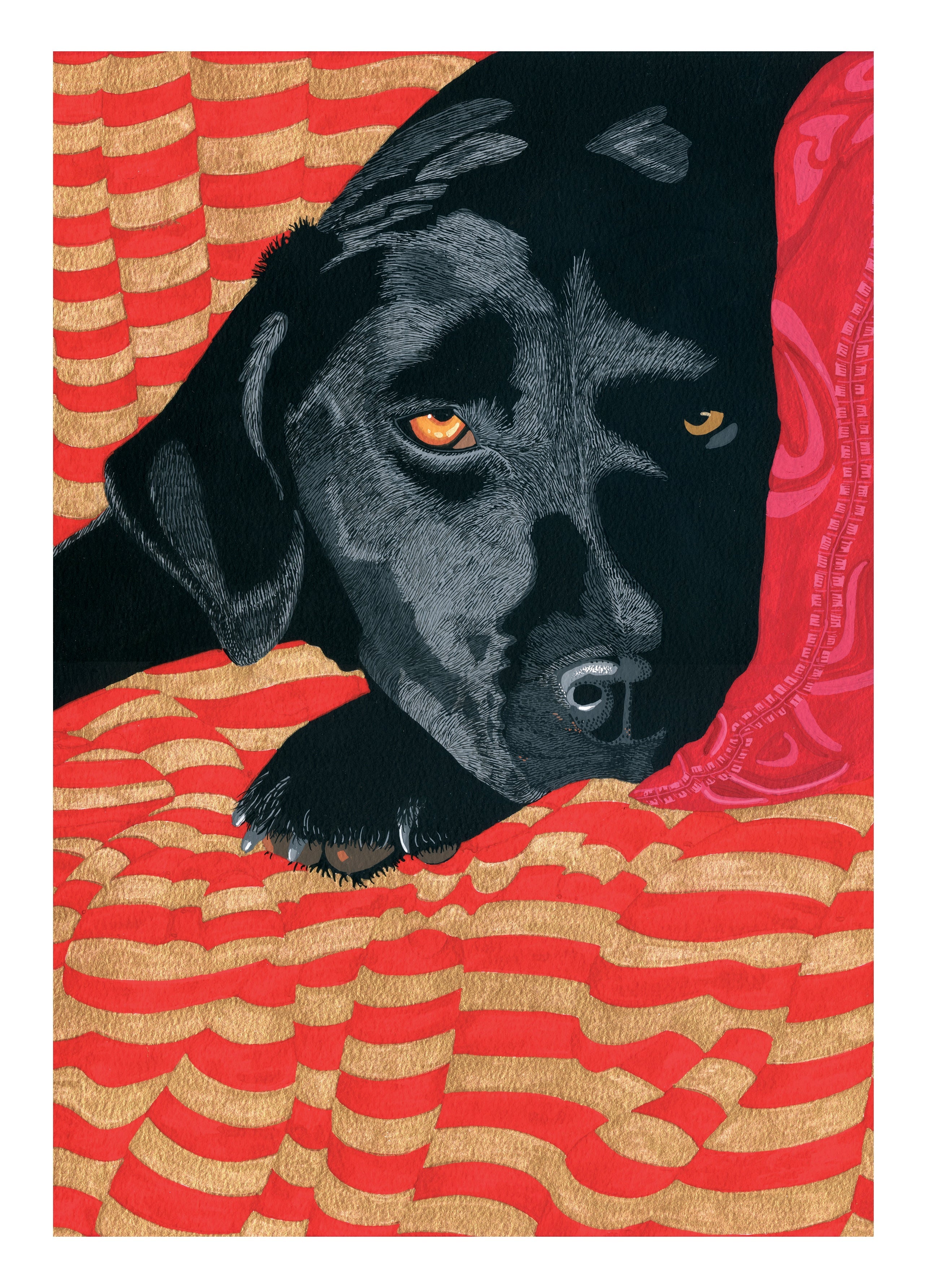Black Labrador Card – Scribbler Cards & Gifts