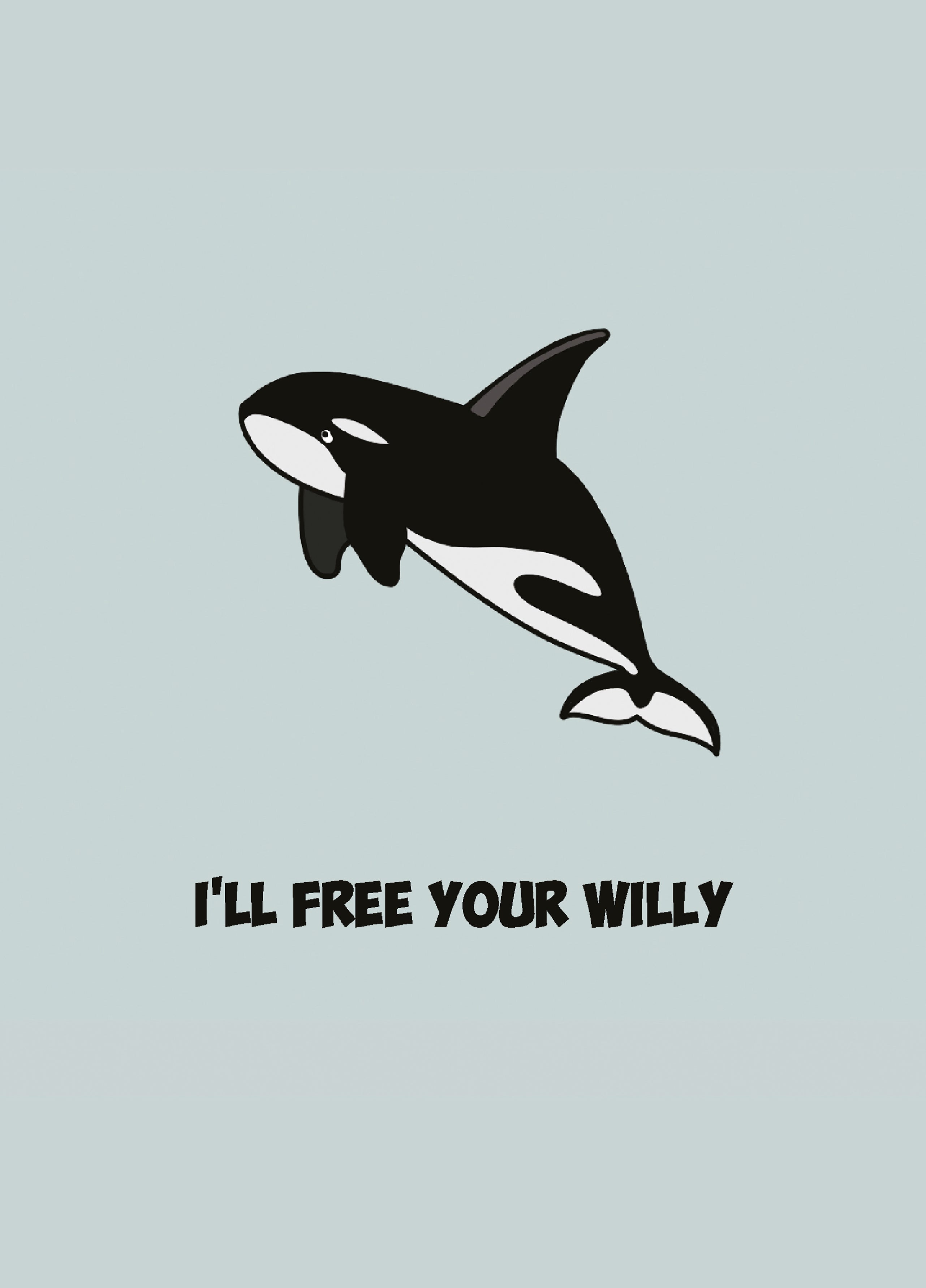 I'll Be Your Free Willy - Funny Valentines's Card – Scribbler Cards & Gifts