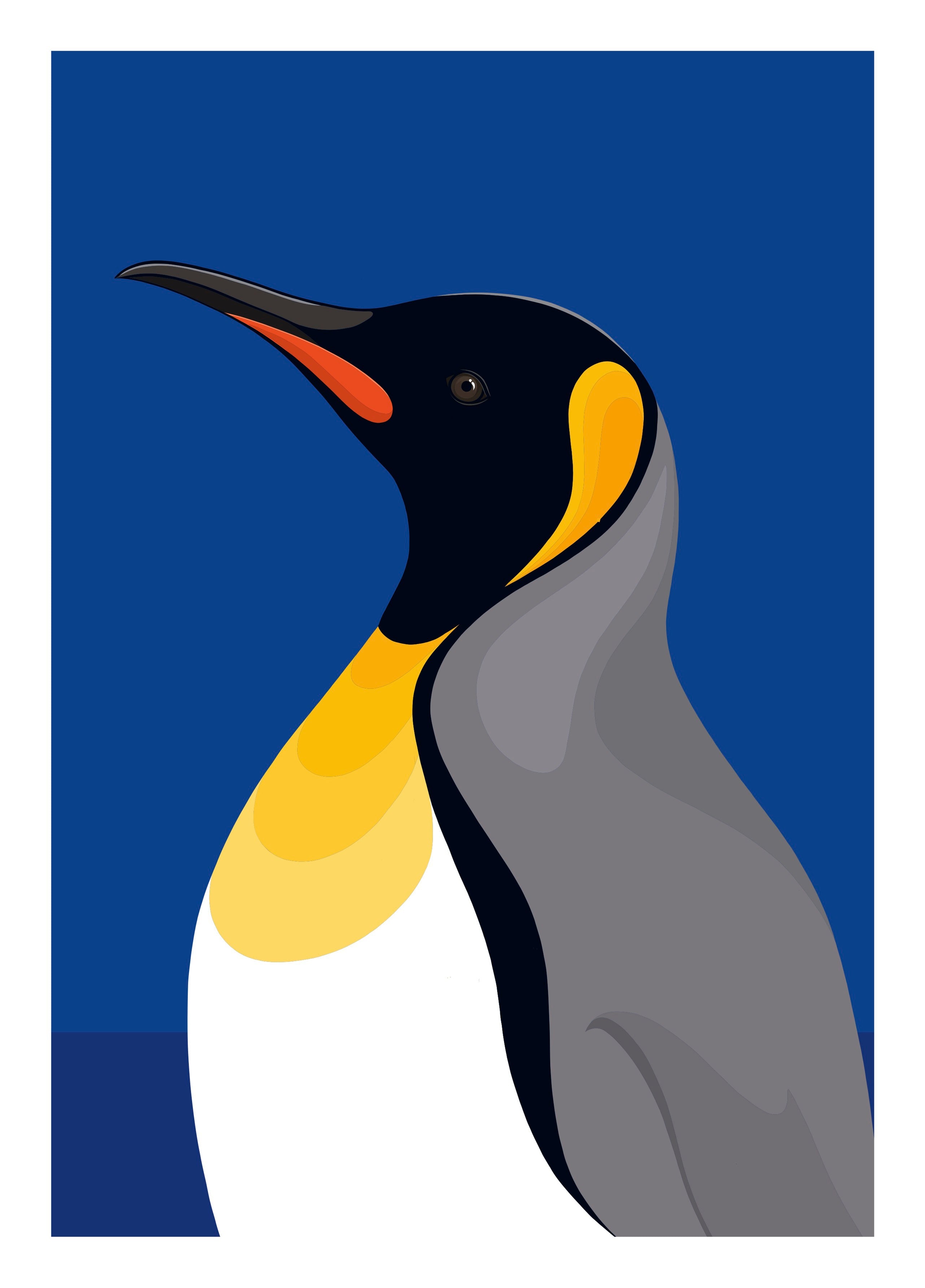 King Penguin Clipart Penguin Vector Set Vector Download