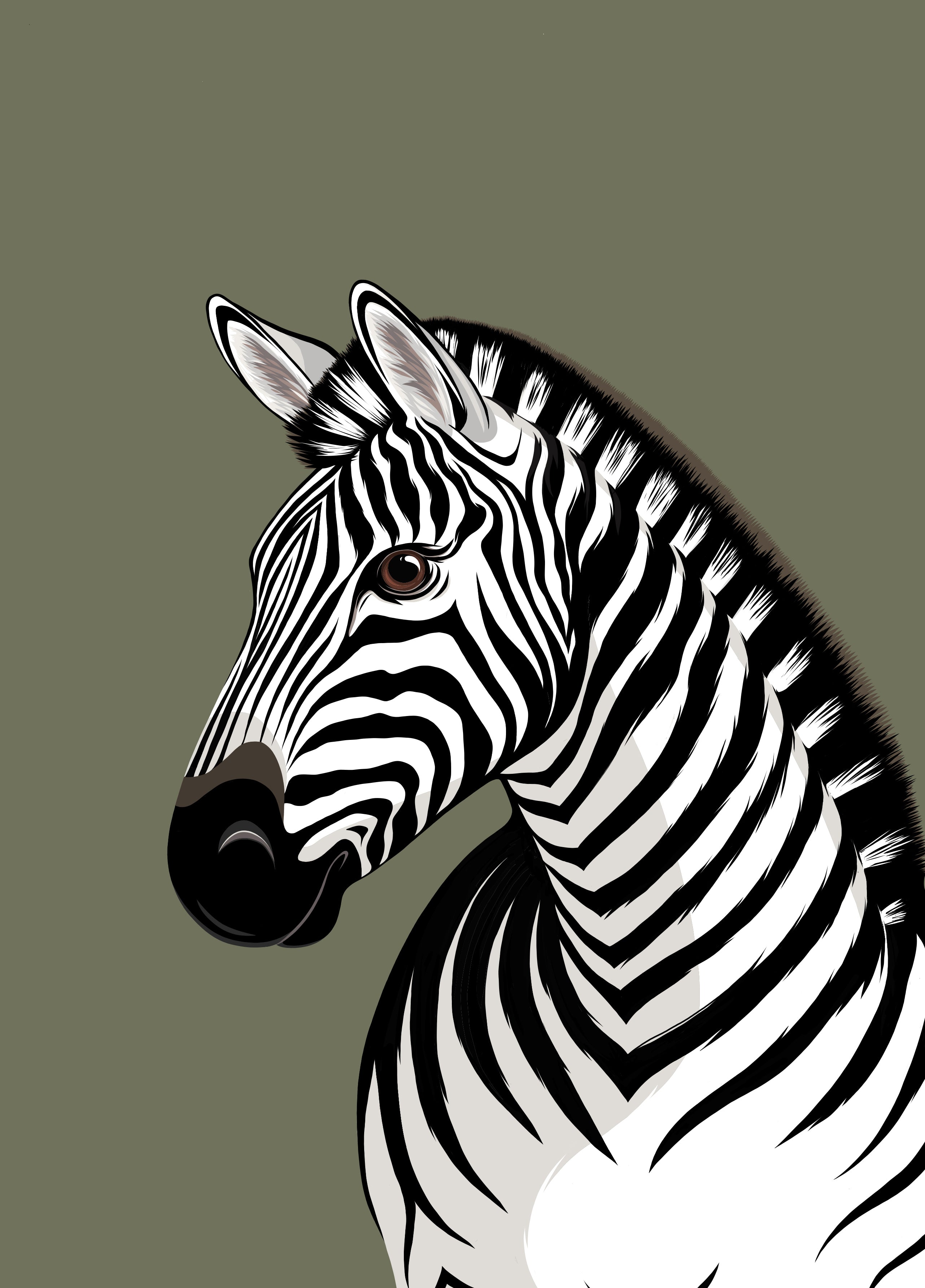 Zebra Head Drawing How To Draw Animals: Zebras And Giraffes | Envato