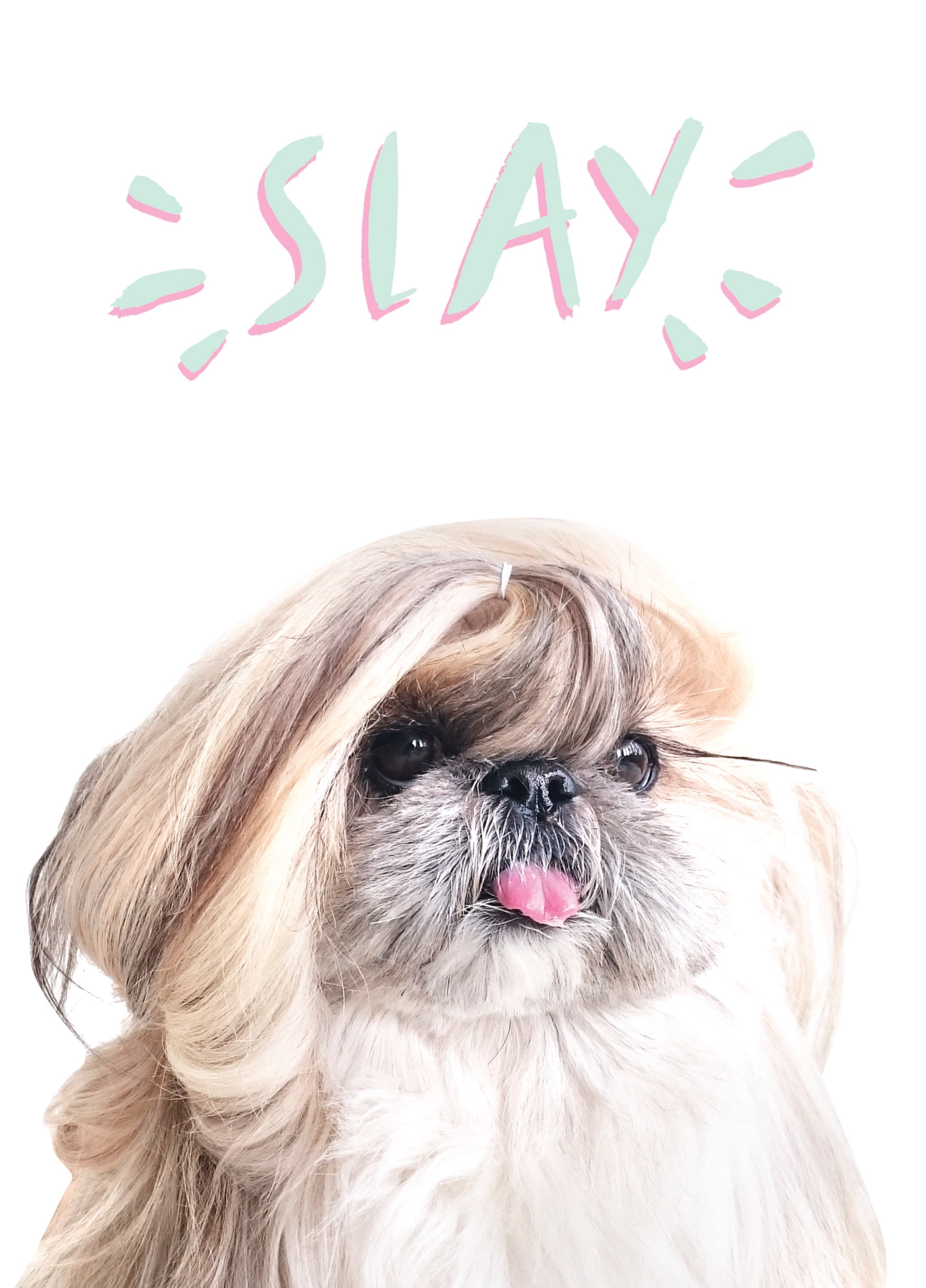 Slay! Card – Scribbler Cards & Gifts