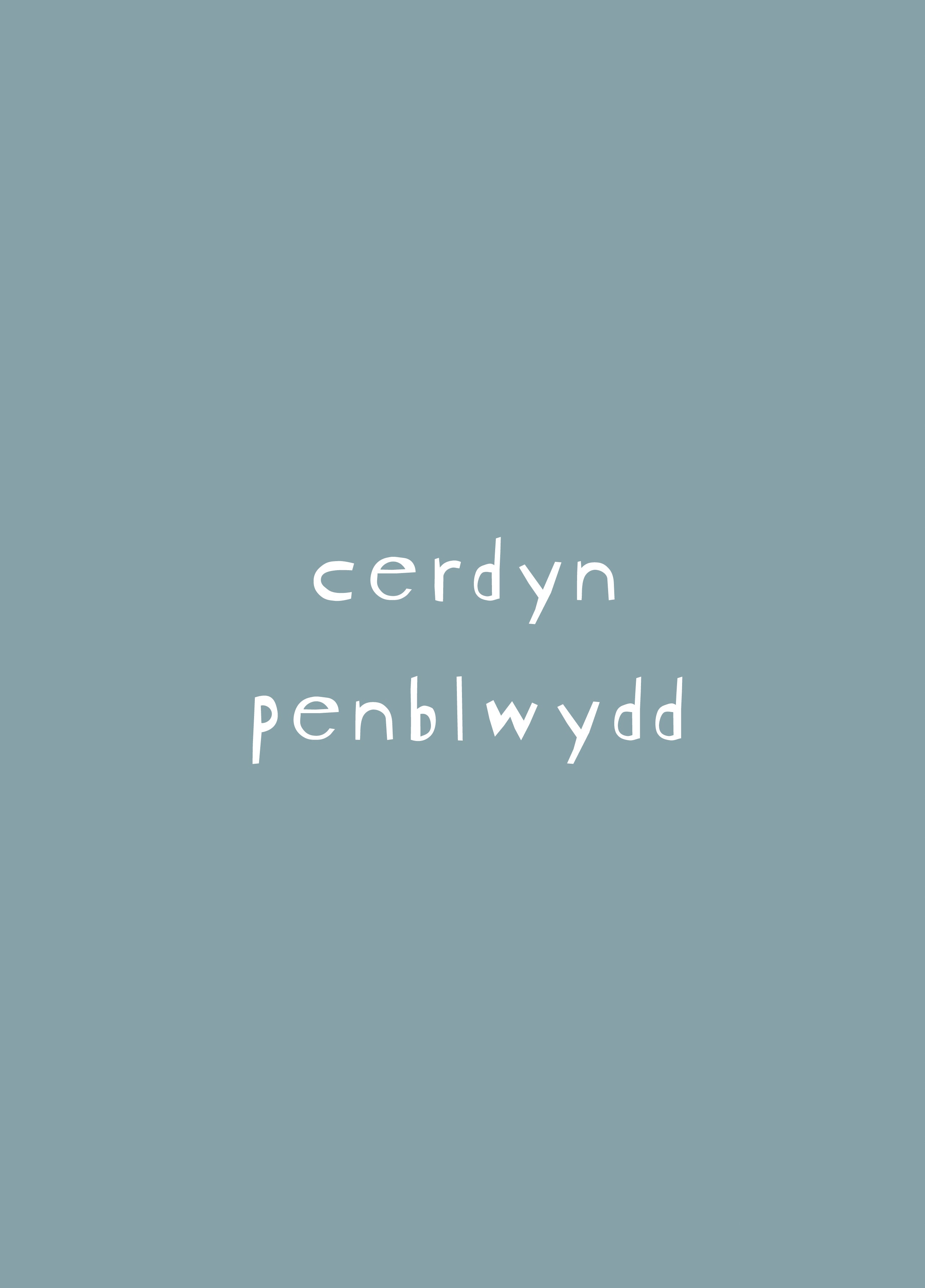 Cerdyn Penblwydd Card – Scribbler Cards & Gifts