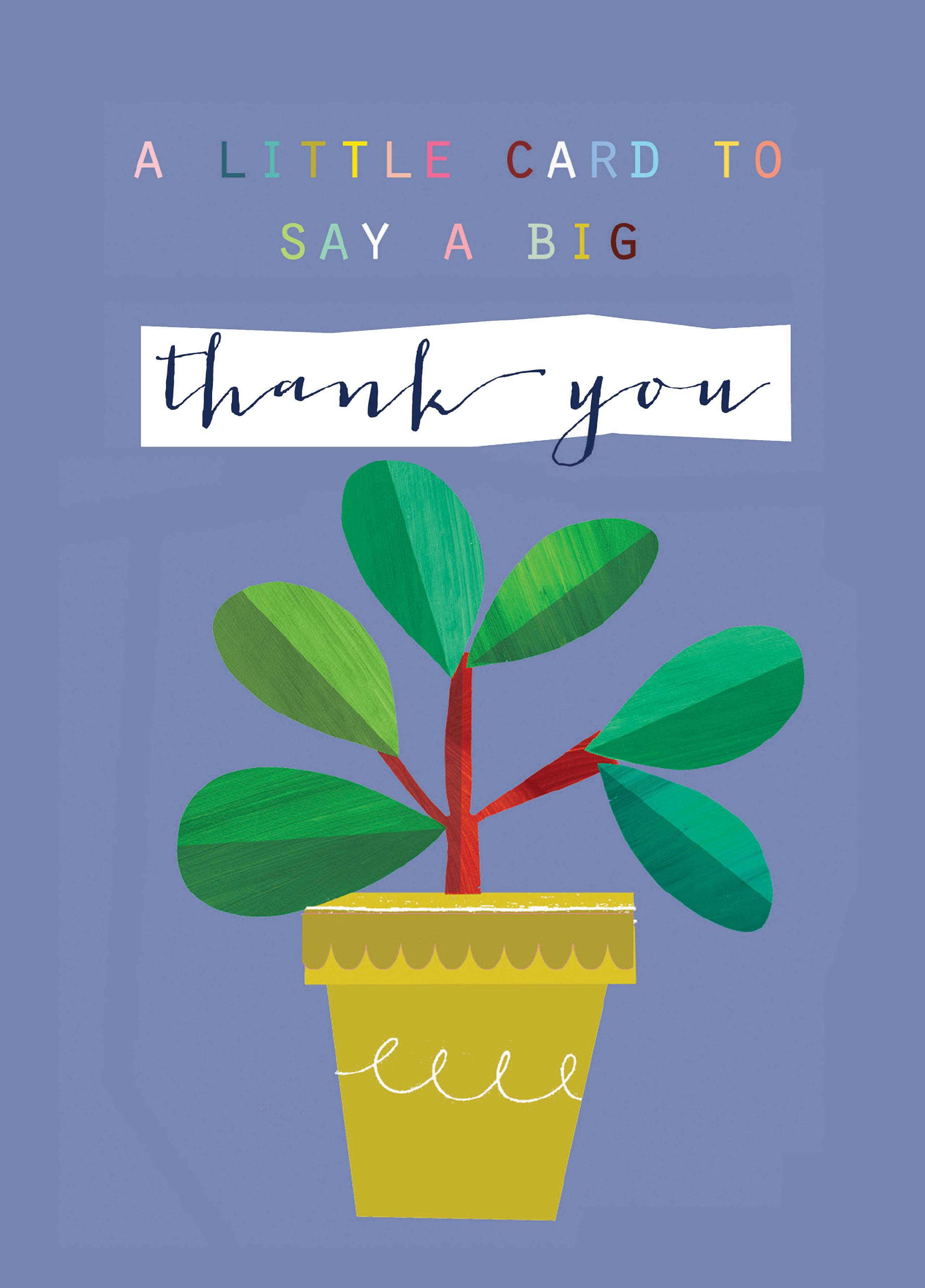 Thank You House Plant Card – Scribbler Cards & Gifts