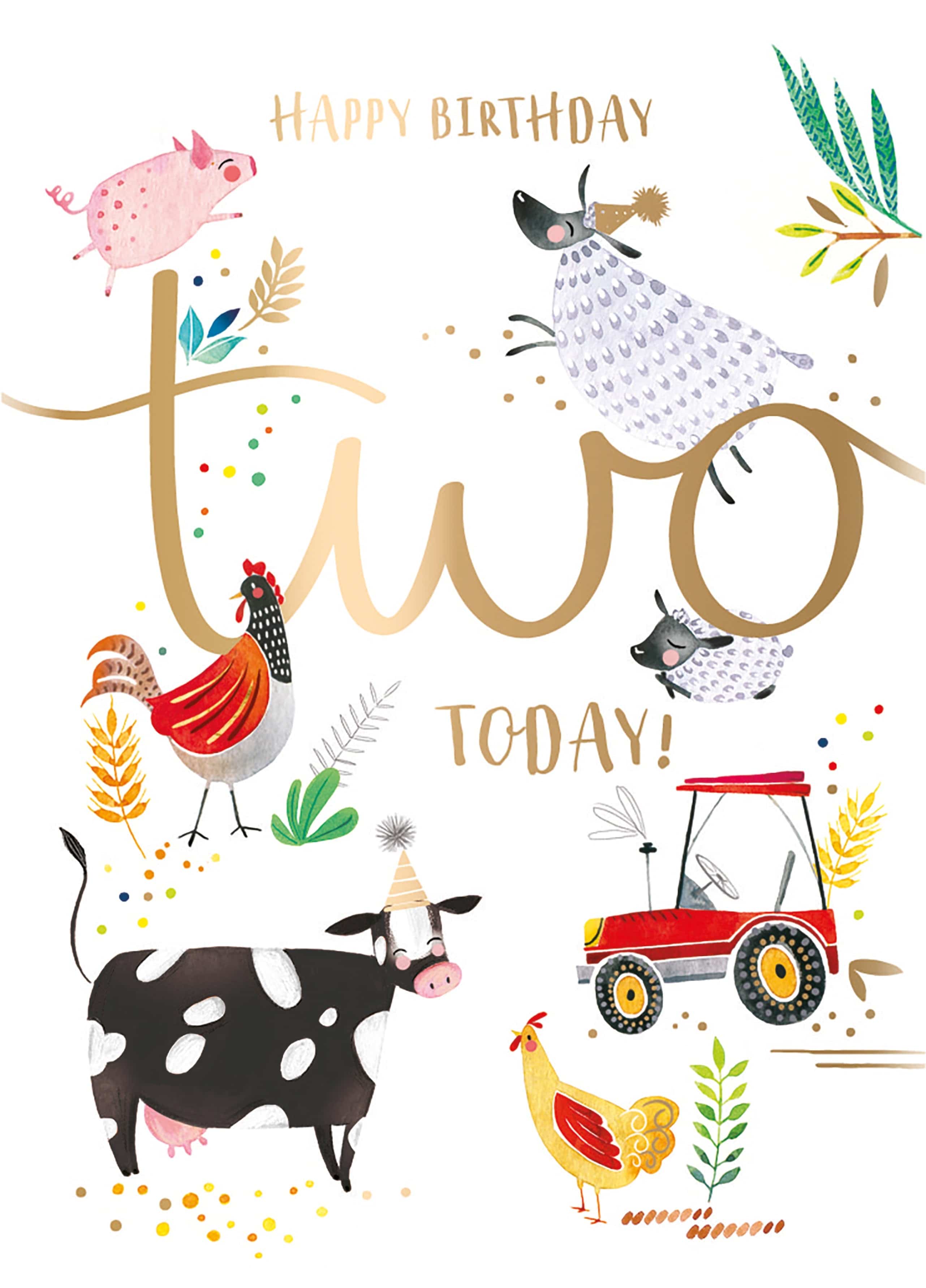 Happy Birthday Two Today Card – Scribbler Cards & Gifts