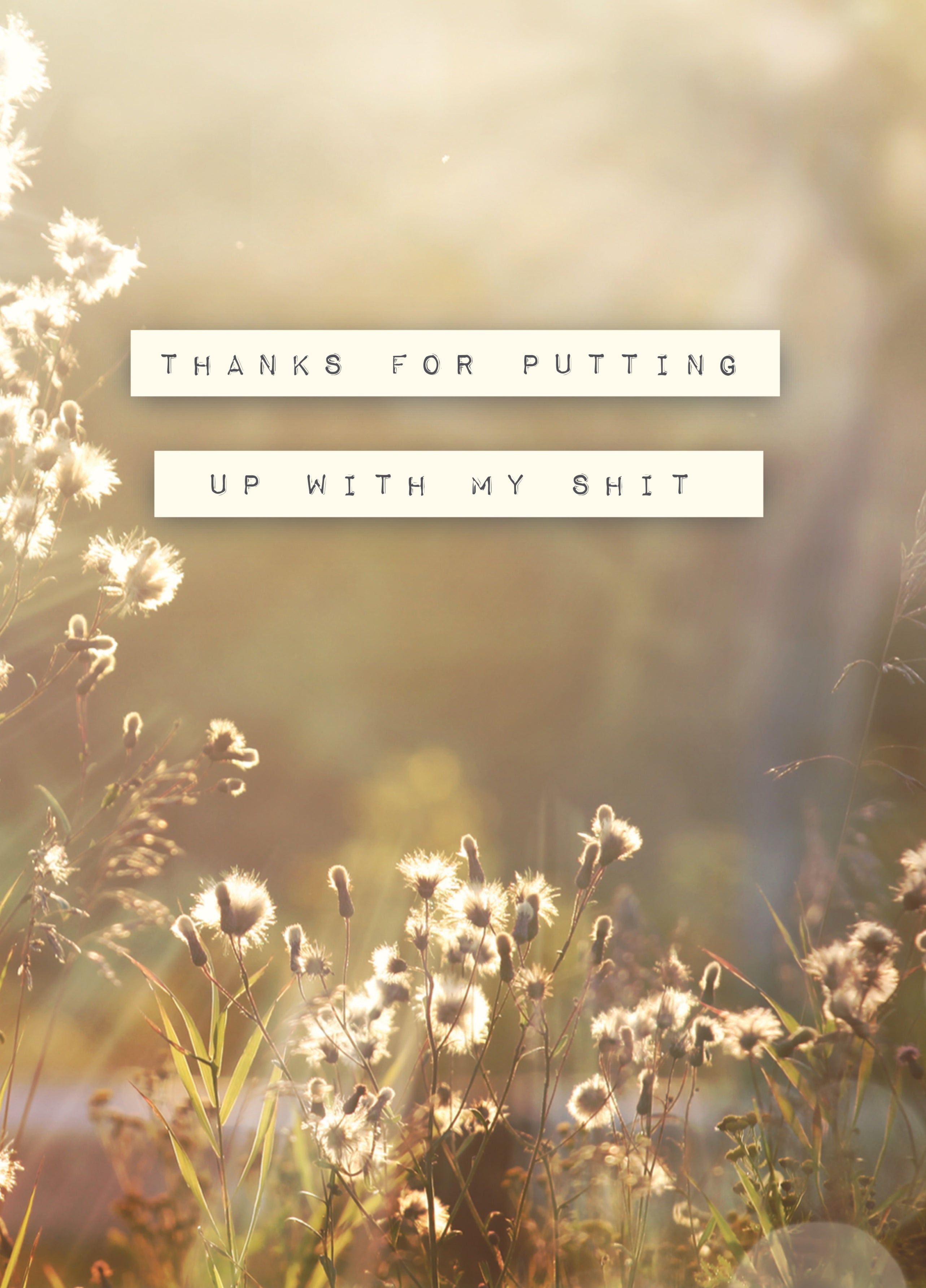 Thanks For Putting Up With My Shit Card – Scribbler Cards & Gifts