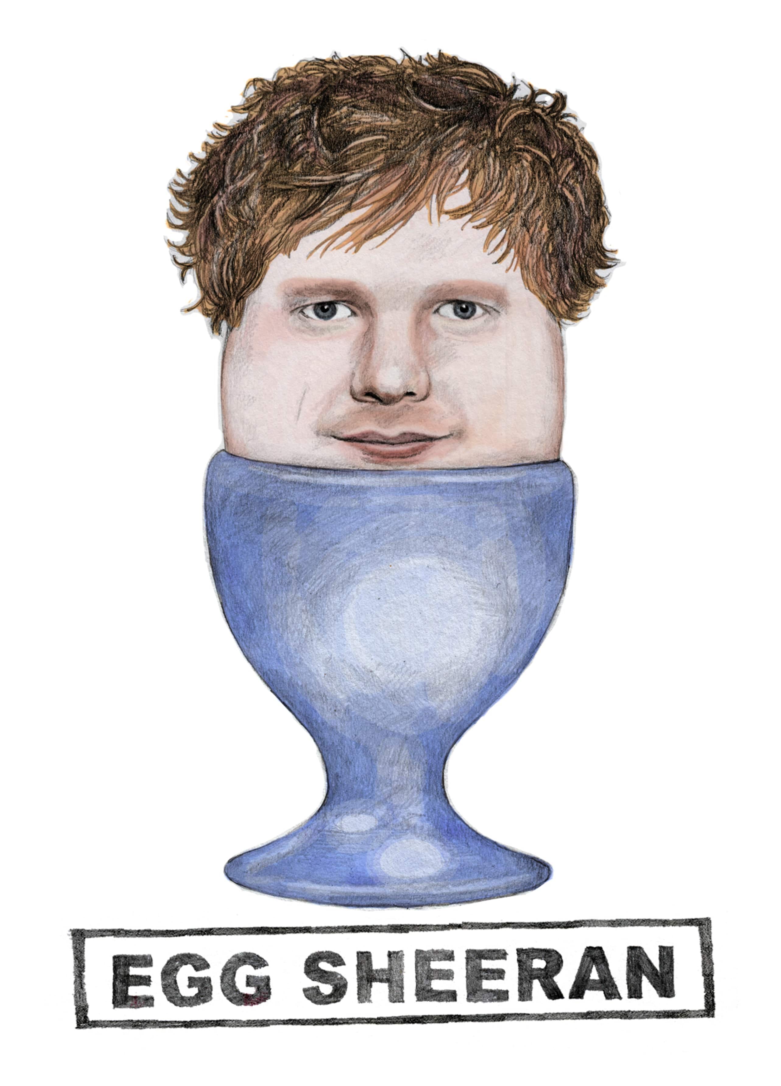 Ed Sheeran Birthday Memes 20 Eddie (sheeran) Ideas | Ed Sheeran, Ed