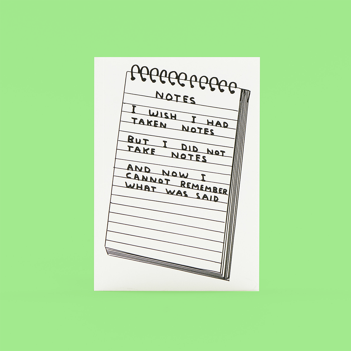 A6 Wish I'd Taken Notes Notebook – Scribbler Cards & Gifts