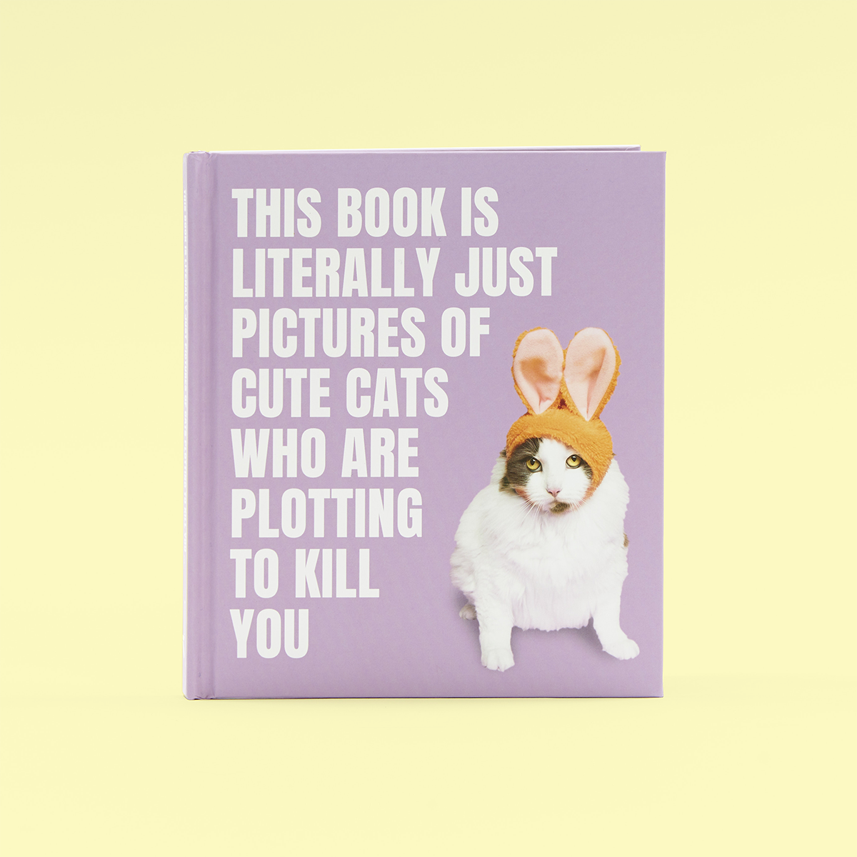 Cute Cats Book – Scribbler Cards & Gifts