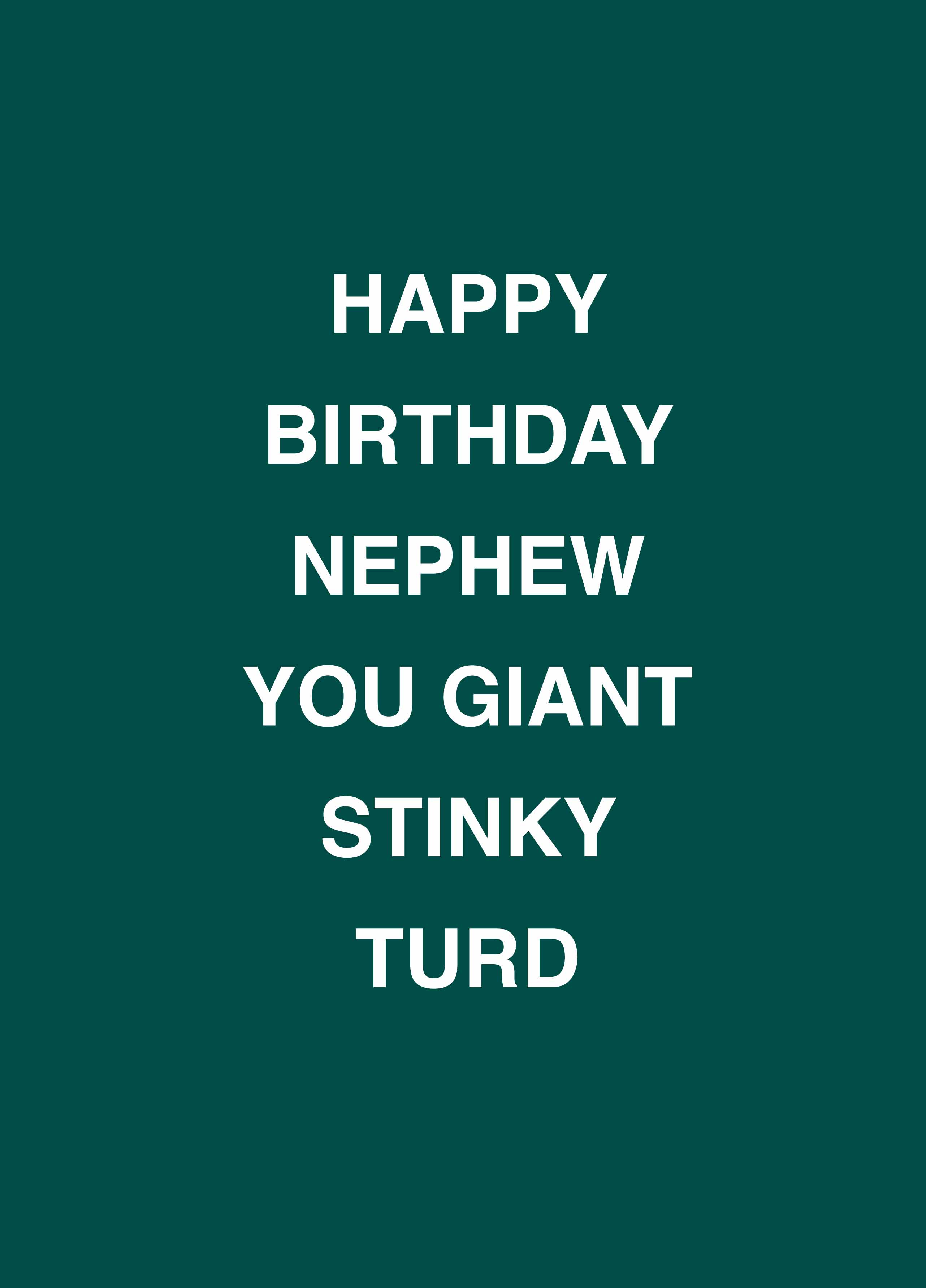 Nephew Giant Stinky Turd Birthday Card – Scribbler Cards & Gifts