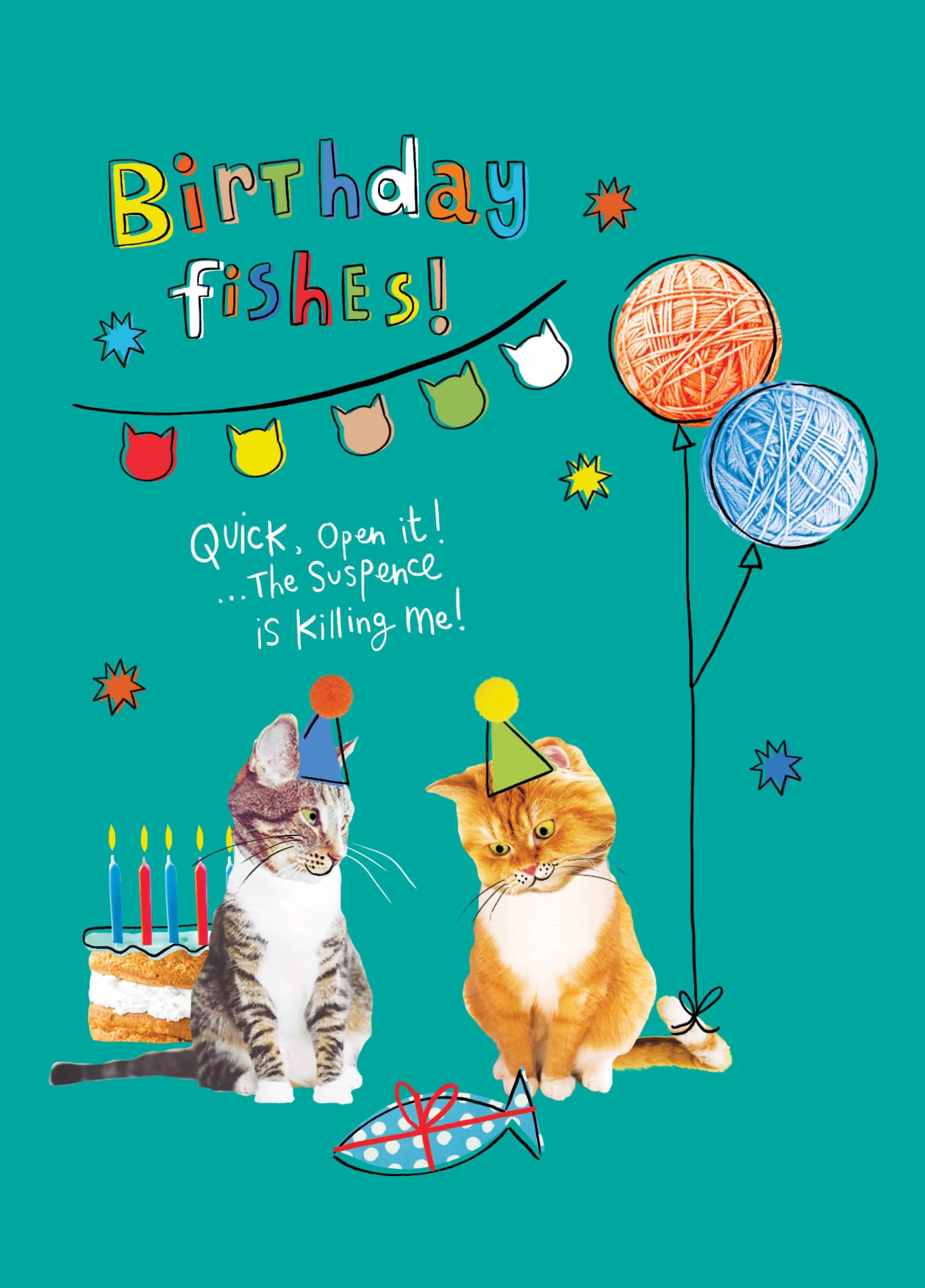 Cats Birthday Fishes Card – Scribbler Cards & Gifts