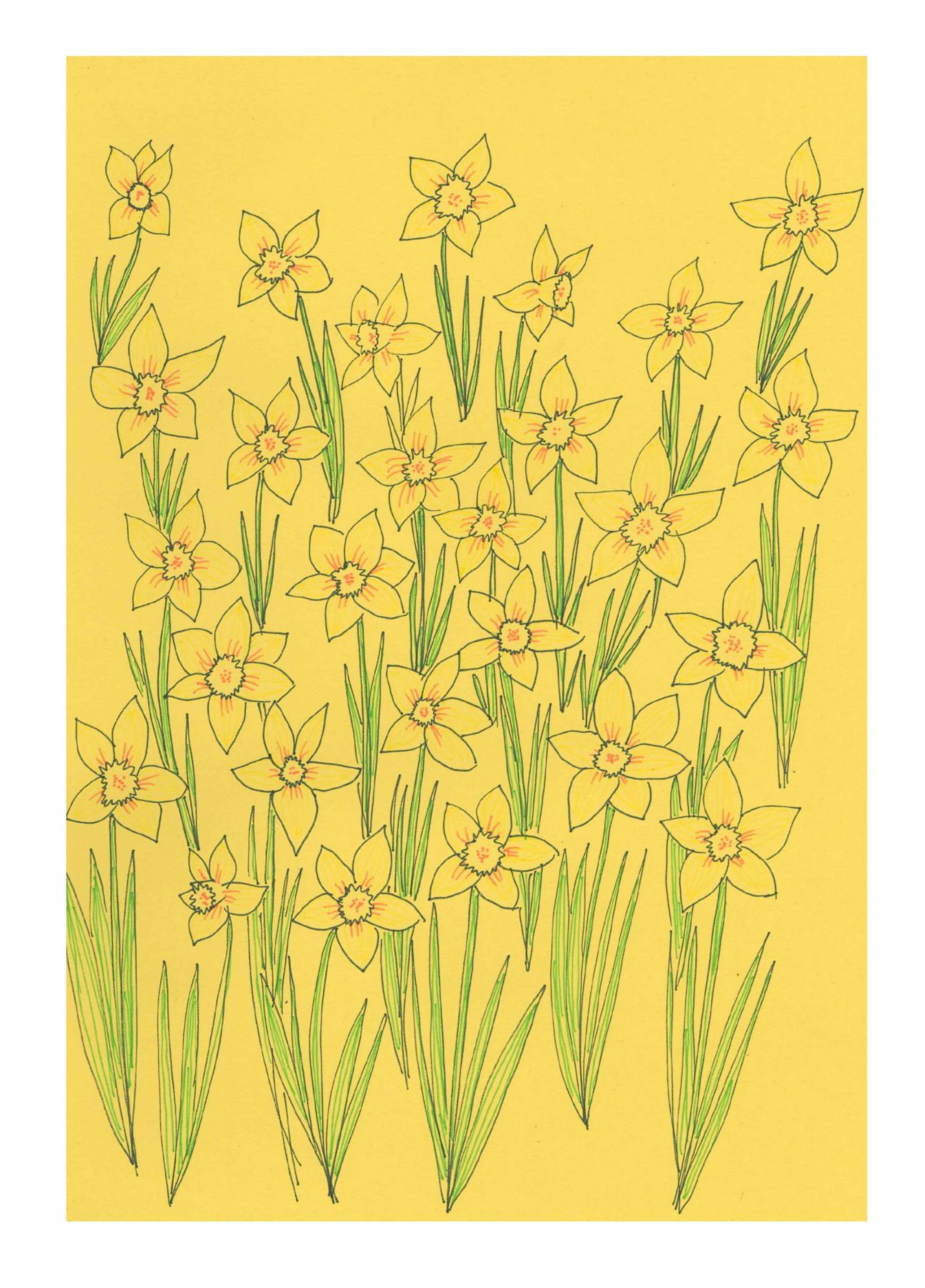Daffodils Card – Scribbler Cards & Gifts