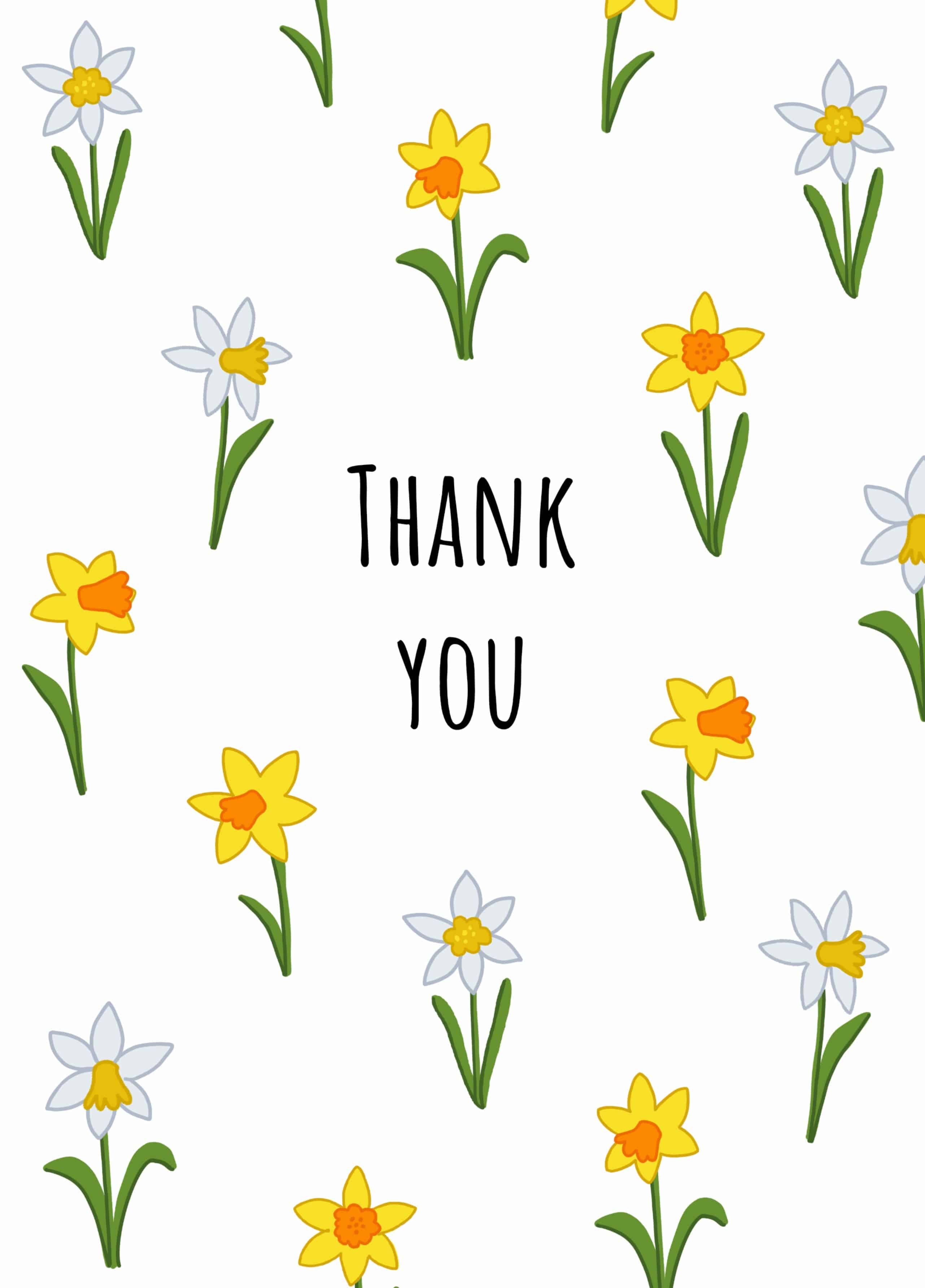 Thank You Daffodils Card – Scribbler Cards & Gifts