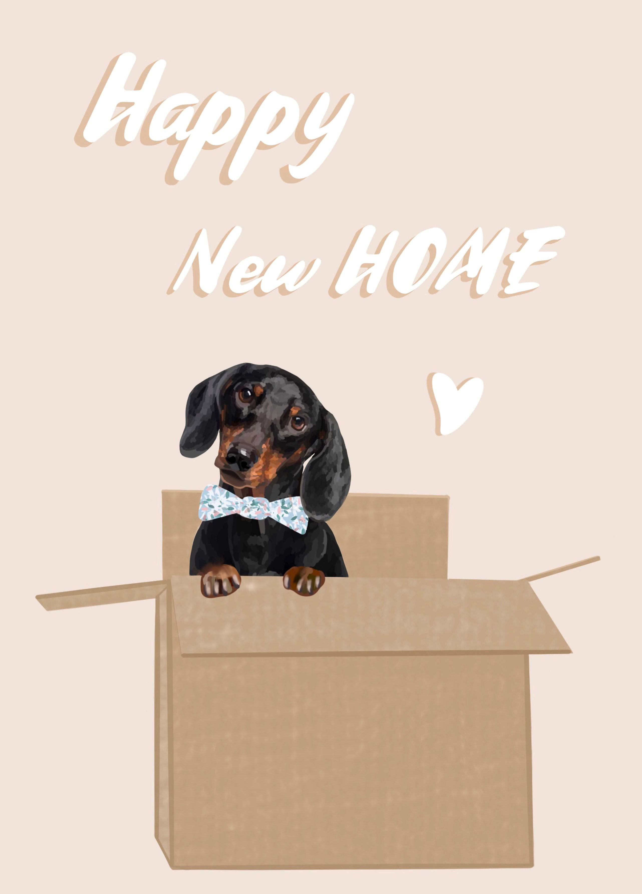 New Home Cute Sausage Dog Card – Scribbler Cards & Gifts
