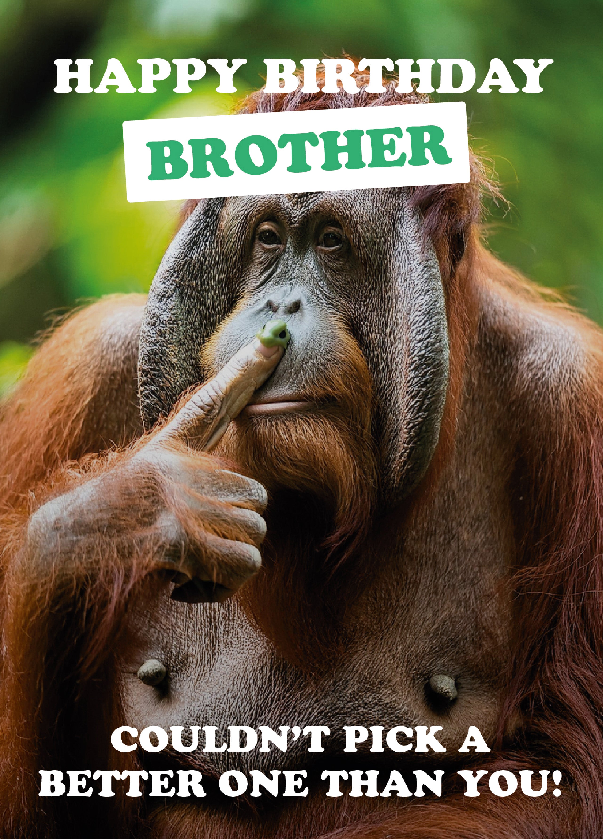 Happy Birthday Bro Memes
